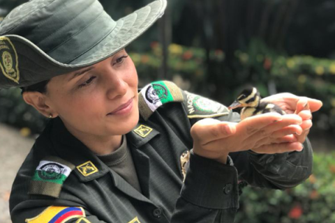 27 Patos pisingos fueron rescatados por la policía | Policía Nacional ...