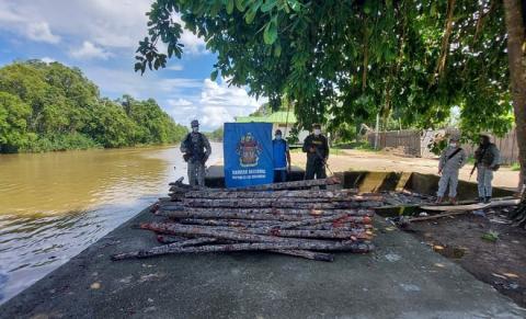 En Juradó Chocó incautamos especies de flora protegidas | Policía ...