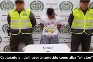 Capturado un delincuente conocido como alias ¿el ratón¿ | Policía ...